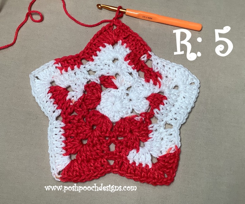 Posh Pooch Designs : Star Shaped Doily Crochet Pattern | Posh Pooch Designs