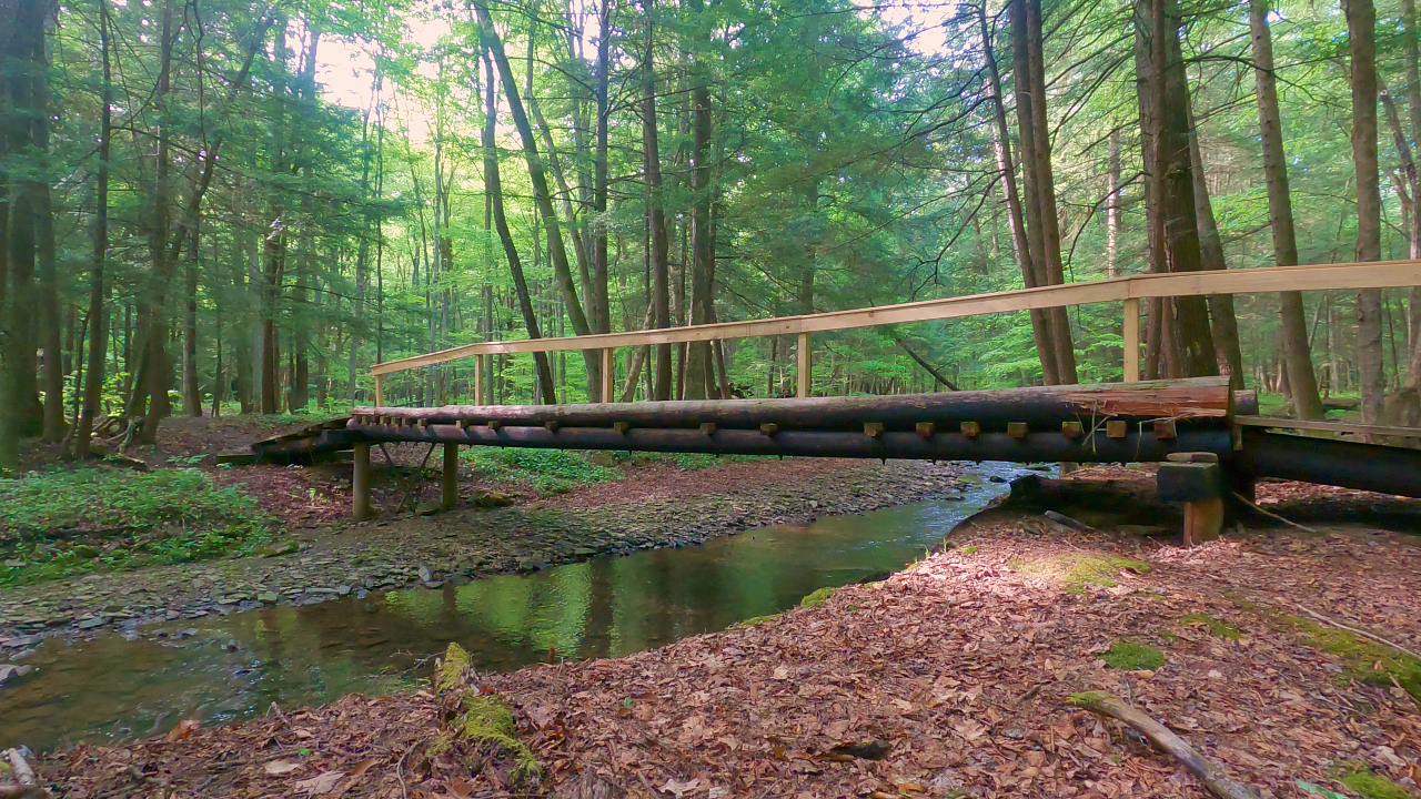 Hiking Allegheny National Forest - [Tracy Ridge Trail System]