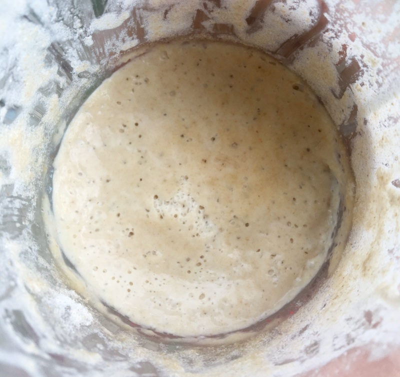 Cara Membuat Sourdough Starter (Ragi Alami)