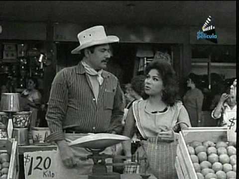 PELÍCULA: El rey del tomate | Guanajuato Desconocido