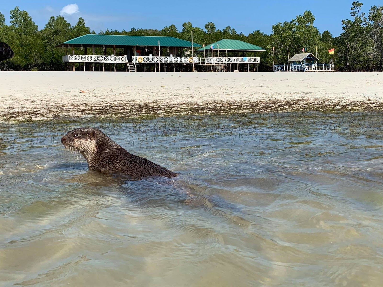Matahum Beach Mangingisda