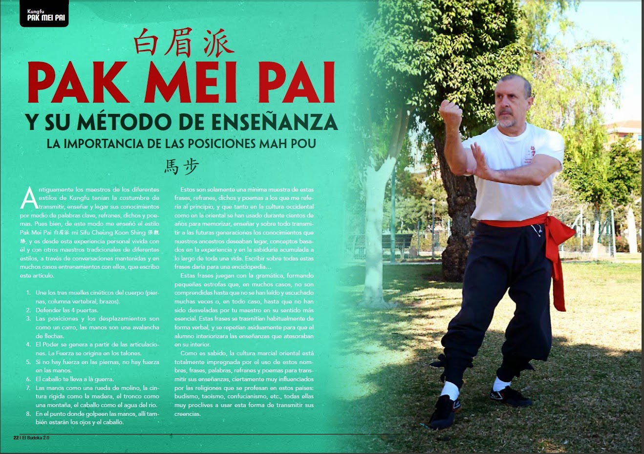 PAK MEI,Ceja Blanca,White Eyebrow, Asociacion Cheung´s Pak mei Kung Fu ...