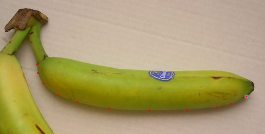 Bananagrammer: The Bananagrammer Equation