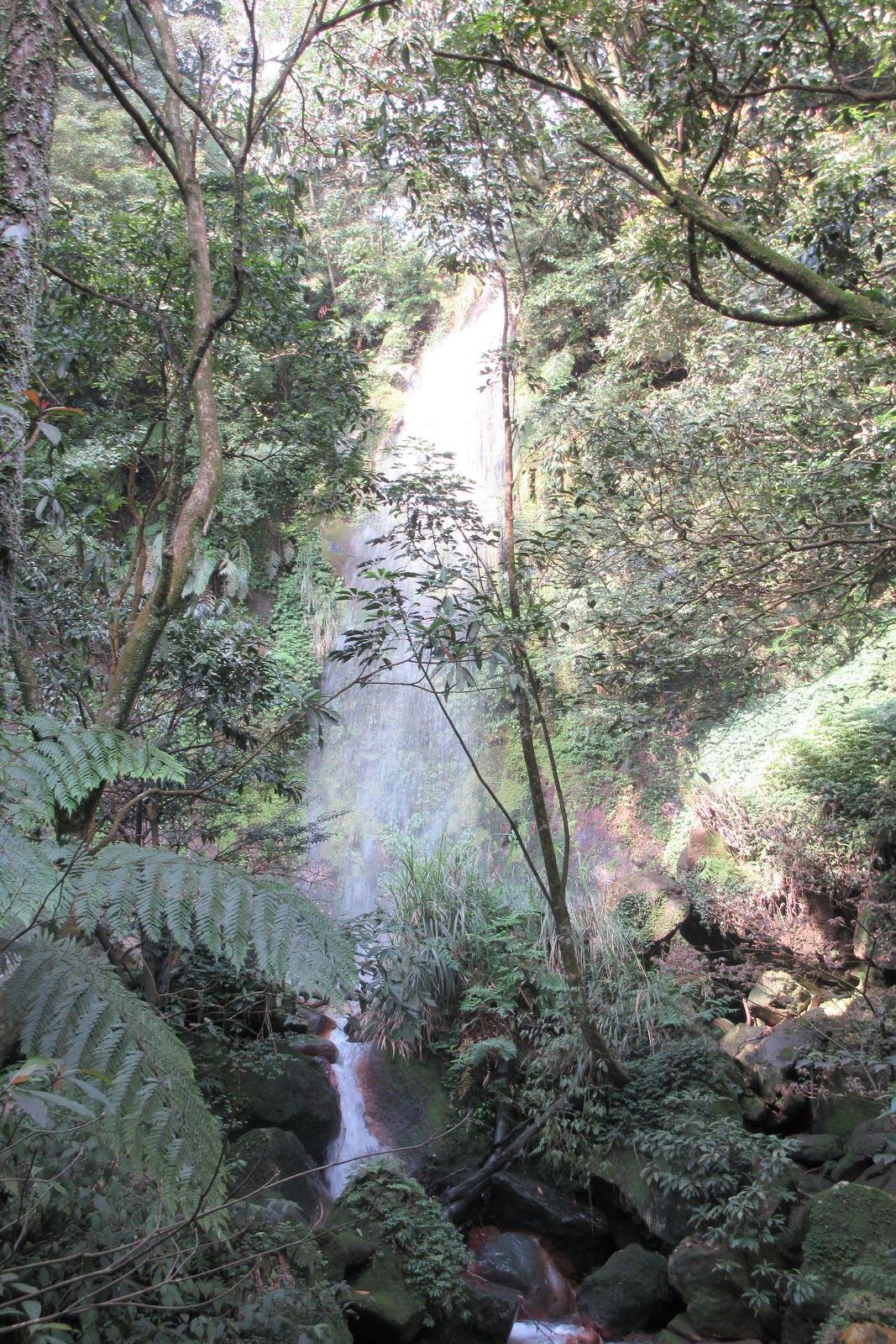 Let's Go and Explore Yangmingshan - The Wandering Juan