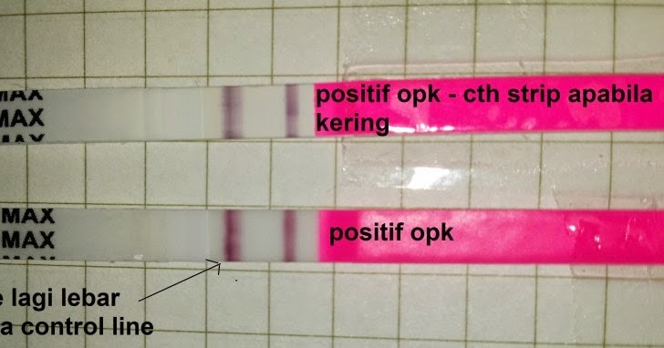 POSITIF OPK | Ovulation test kit (opk) & Pregnancy test (upt) murah