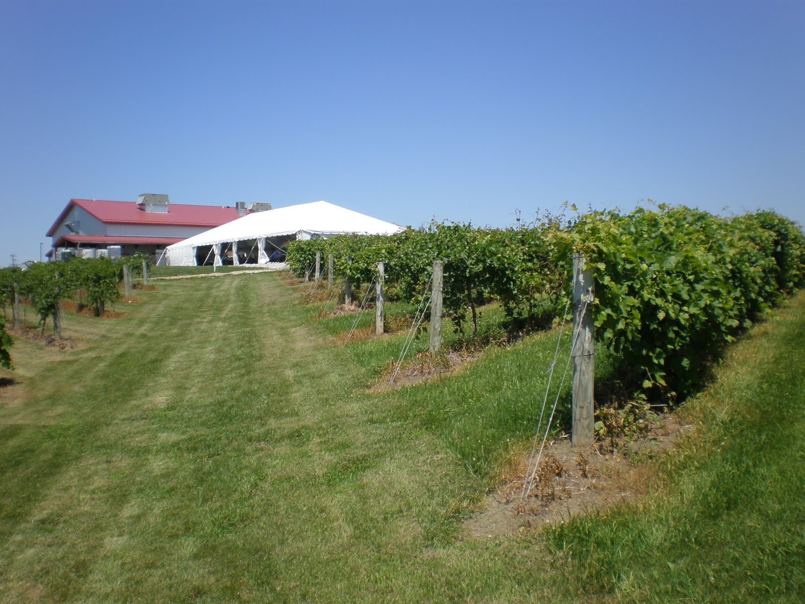 Hello from the Land of 10,000 Lakes: Cedar Ridge Winery and Distillery