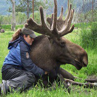 Los Animales y sus Humanos: El Alce y su chica