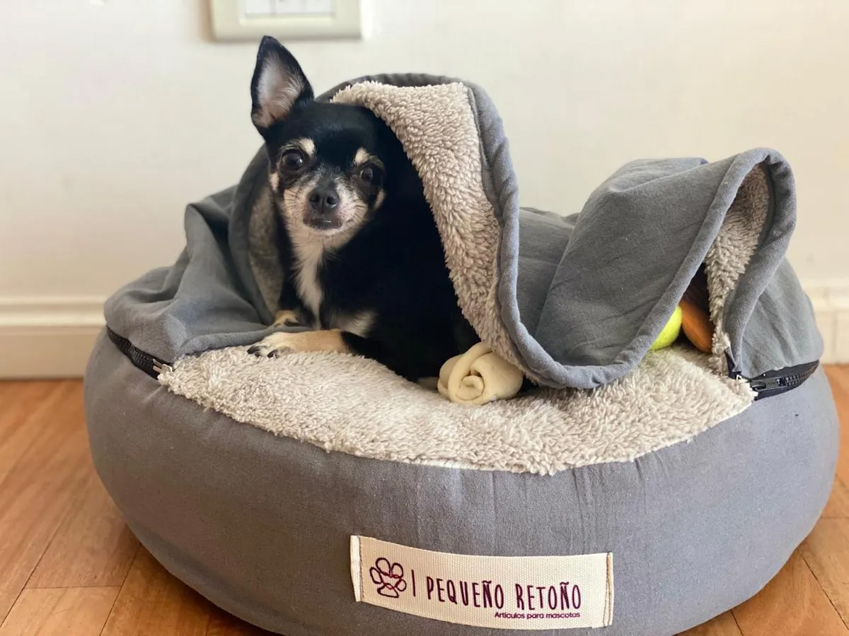 Cuales son las mejores camas para perros y colchonetas