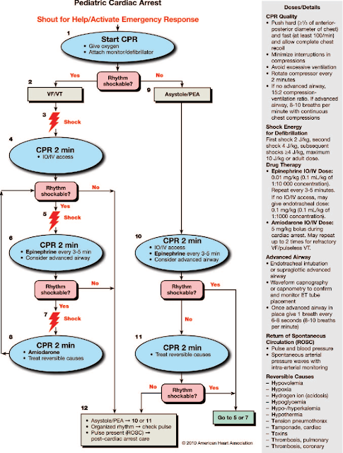 Pals(pediatric Advanced Life Support) Algorithms