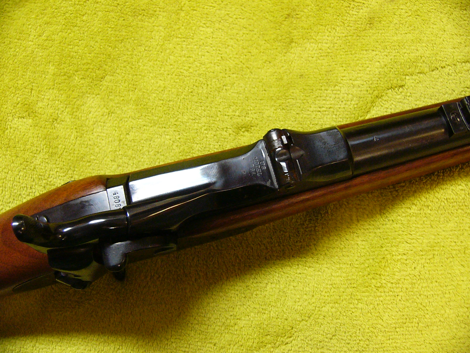 Sbírka historických zbraní: U.S. Springfield M1884 Trapdoor ...