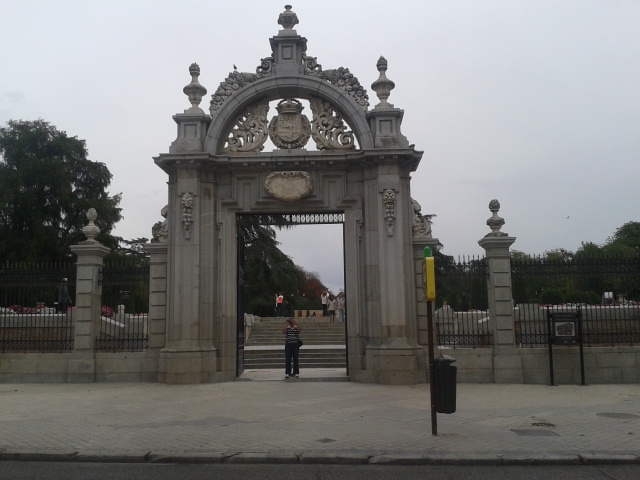 Disfrutando de Madrid: El árbol más antiguo de los parques de Madrid