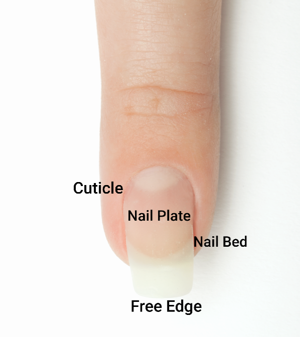 Natural Nail Trends Made Easy