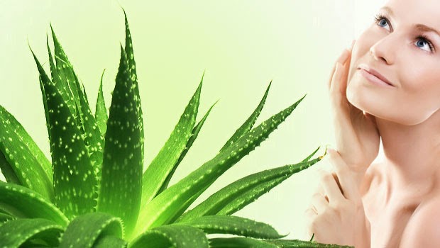 Herbs You Can Grow To Help With Skin Care - Universal Health Care Plans