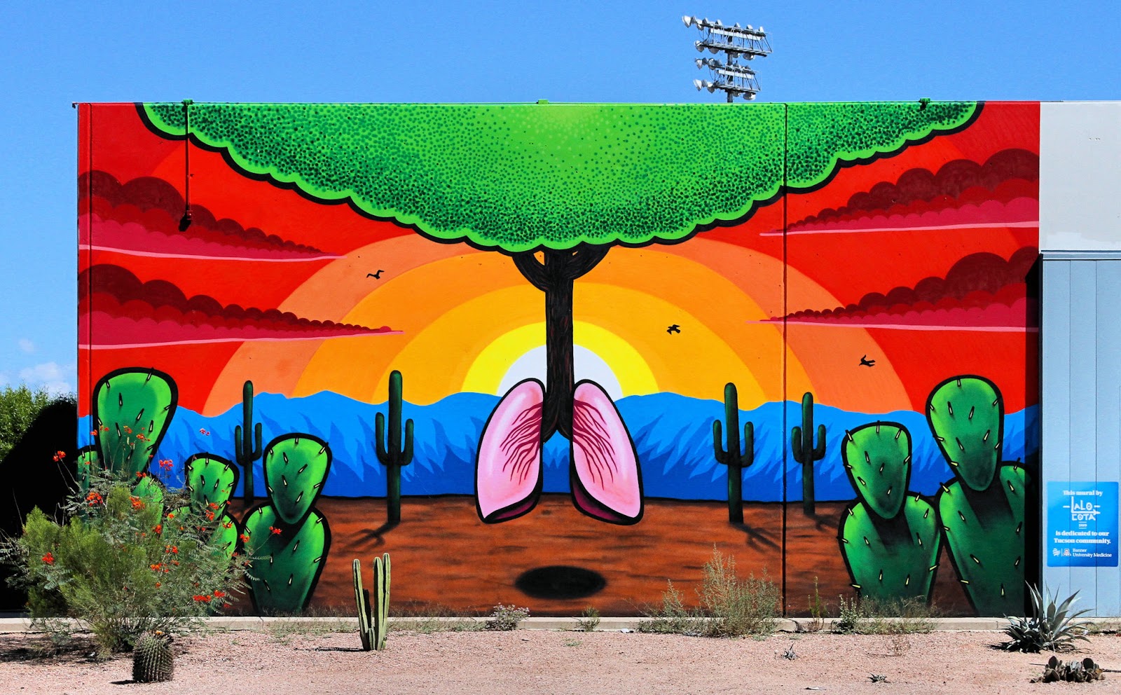 The Tucson Murals Project: "Exhale": Banner mural #5 of 5