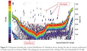 HAPPIEST HEART: DEEP SCATTERING LAYER
