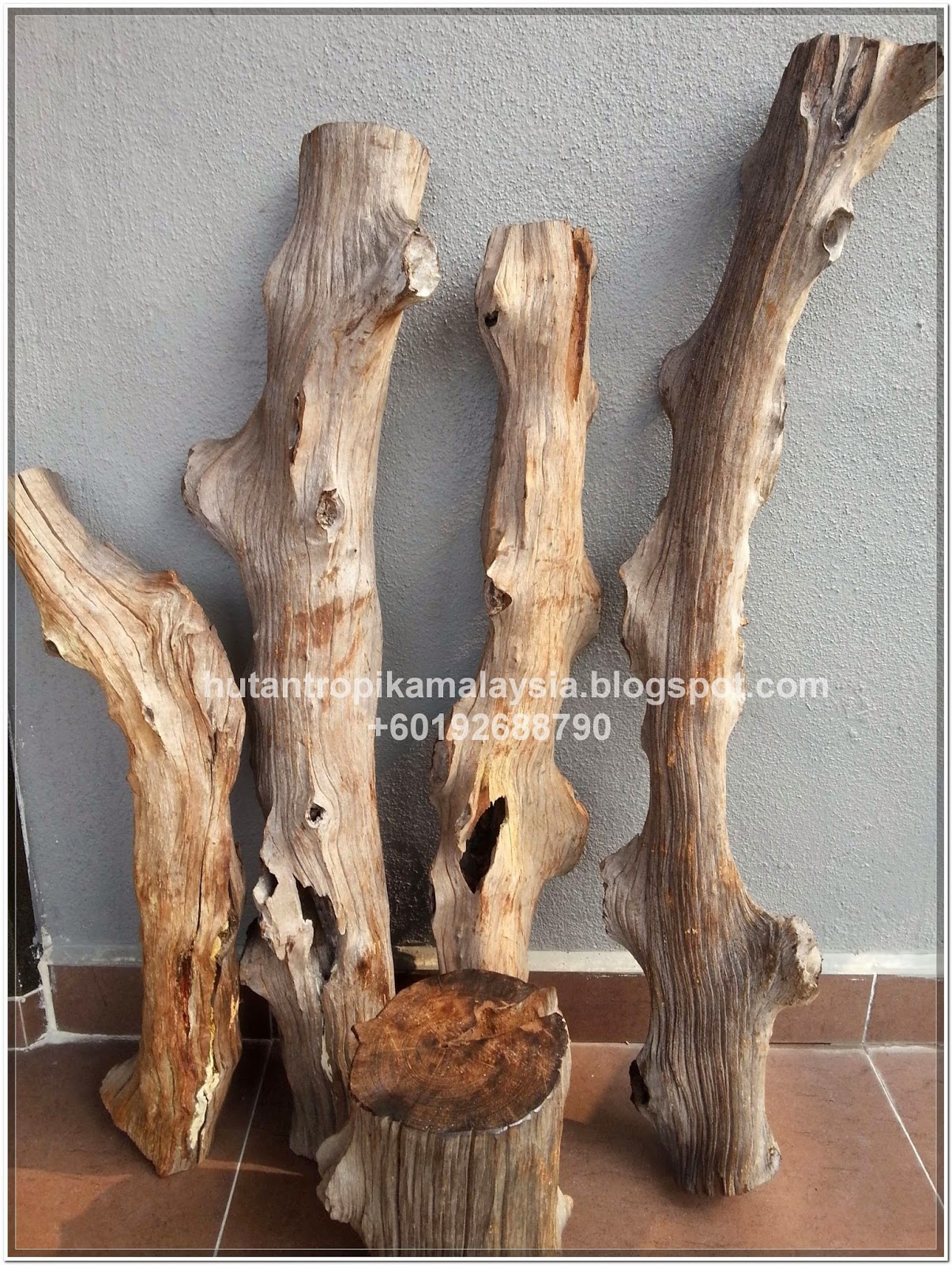 金山香料貿易 : Teras Gemunggal