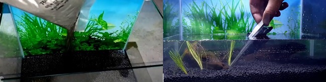 How To Build Ecosystem Aquarium