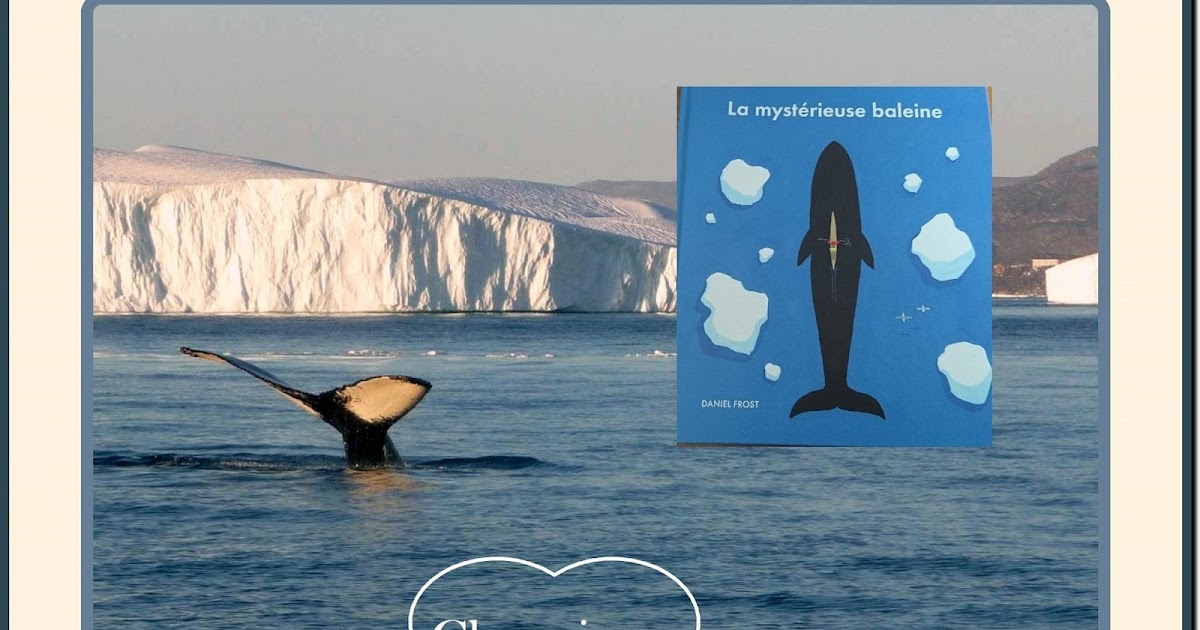 LA MYSTÉRIEUSE BALEINE - DANIEL FROST