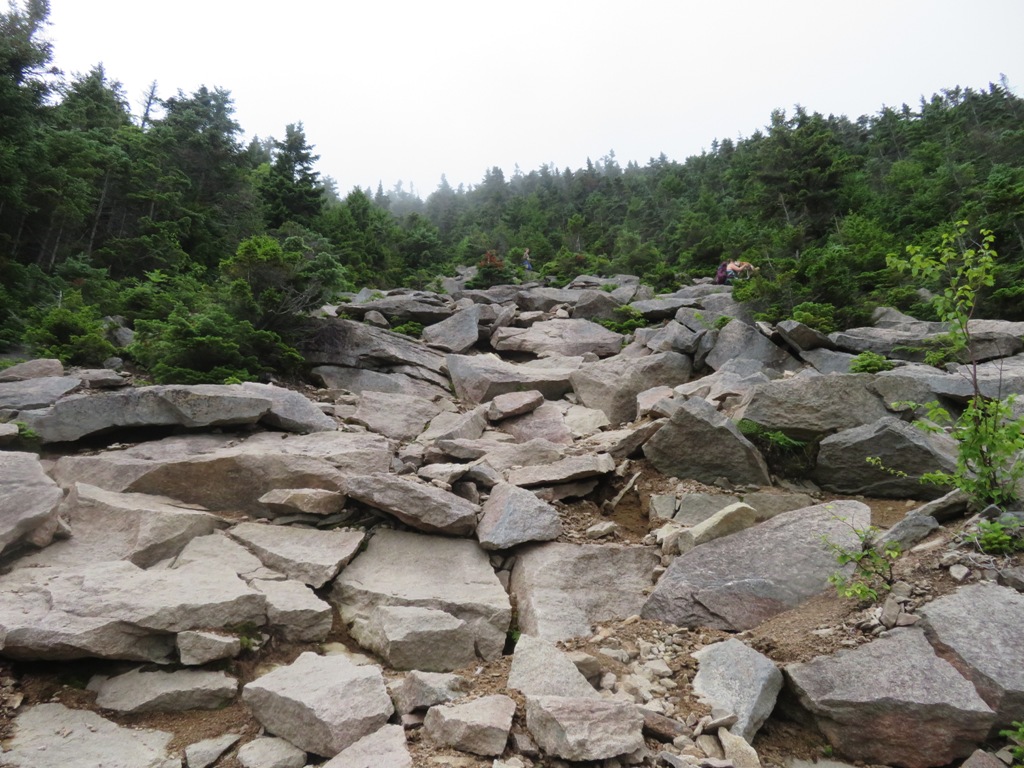 Mountain Wandering: South Tripyramid Slides & West Sleeper