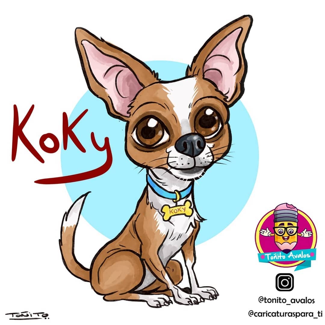CARICATURA DIGITAL MASCOTAS PERRO CHIHUAHUA CON IPAD