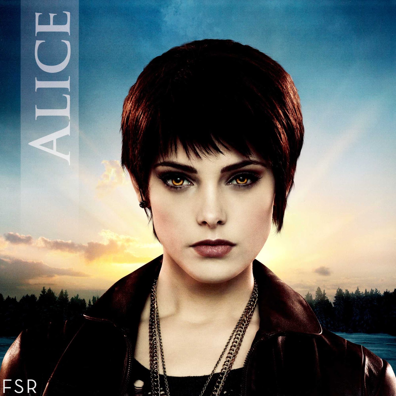 Saga Crepúsculo Eternamente!: Alice Cullen