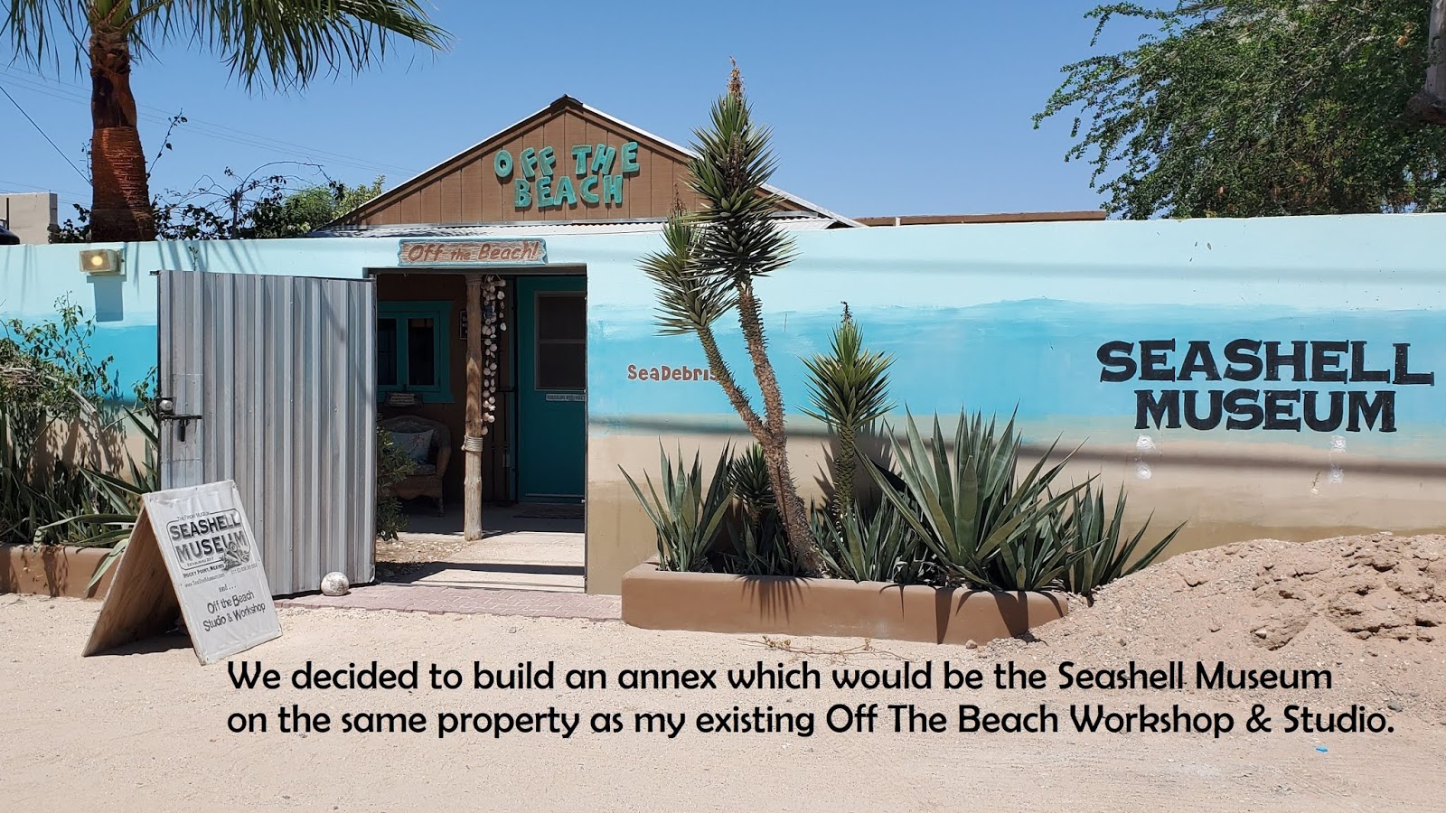 SeaShell Museum: SeaShell Museum Story