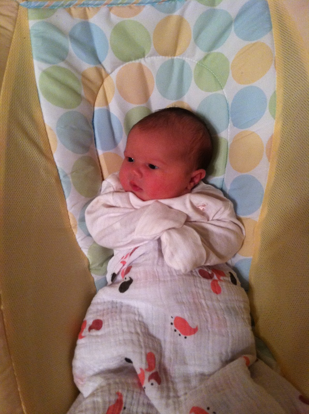 Sweet Baby Smudge: These are a few of my favorite (baby) things