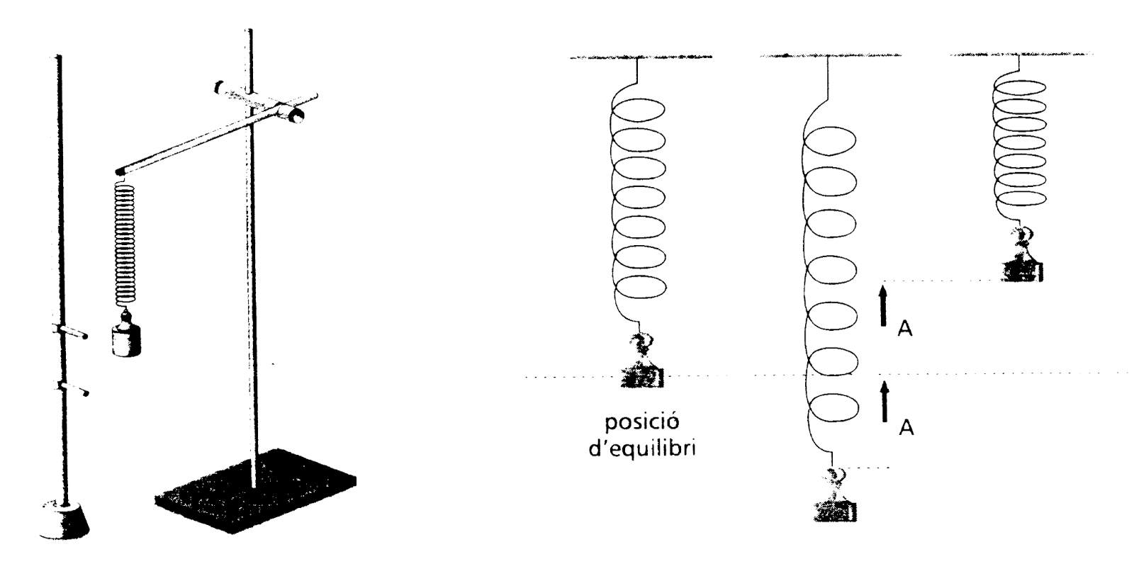 IES Octavio Cuartero FyQ: FÍSICA: Constante elástica de un muelle.