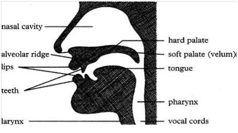 Assisting Discovery - Teaching English as a Foreign Language: PART 2 ...