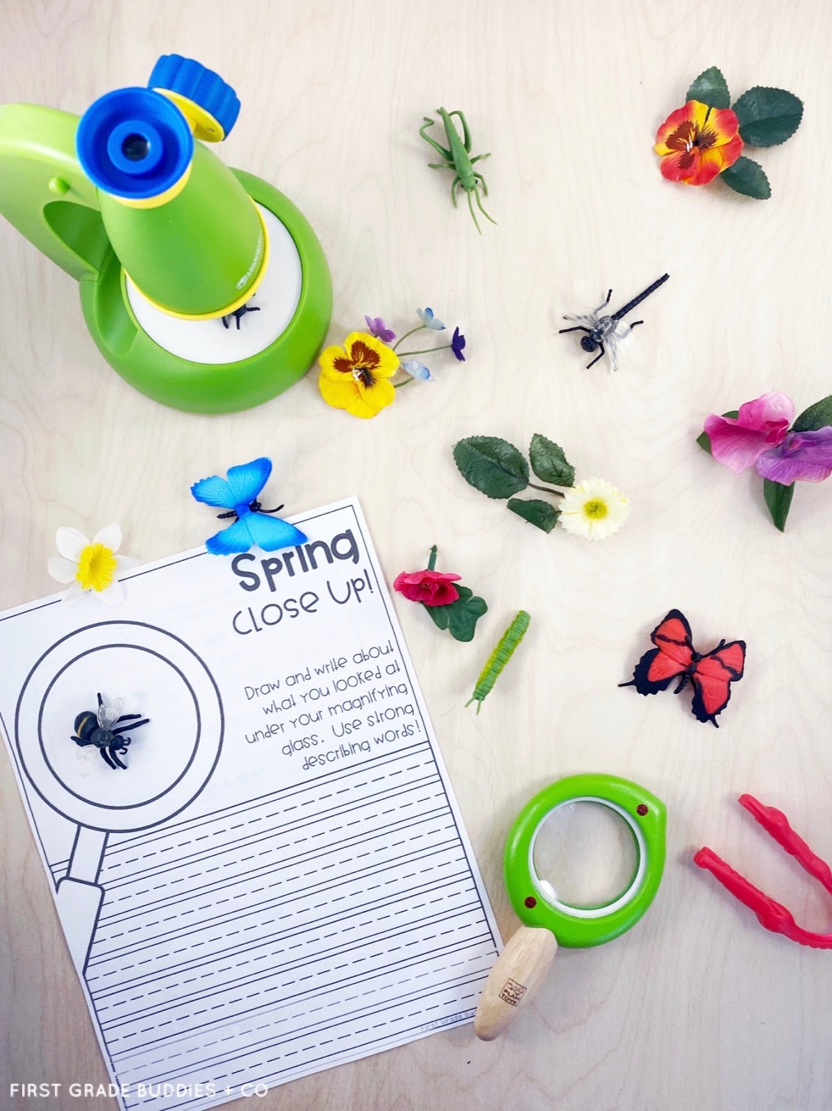 Simple Science: Spring Science | First Grade Buddies