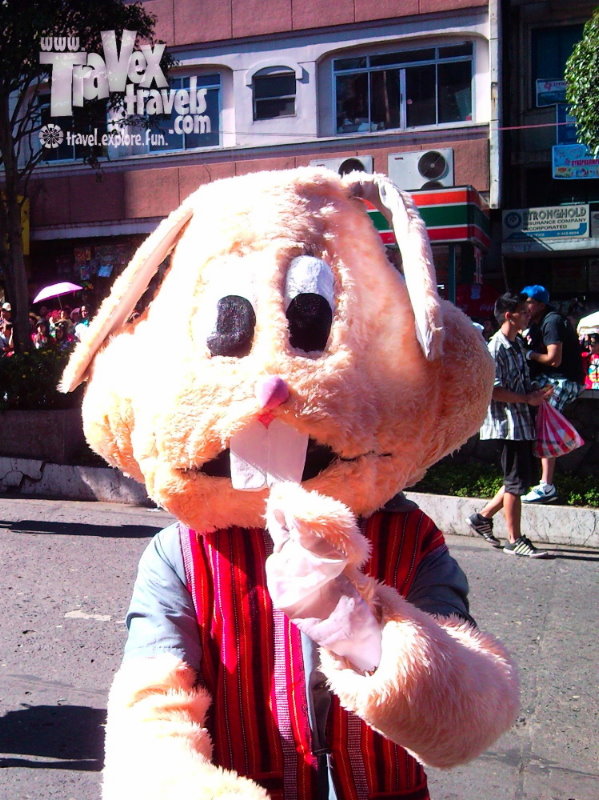 How to Go to Baguio for the Panagbenga Festival - Travex Travels ...