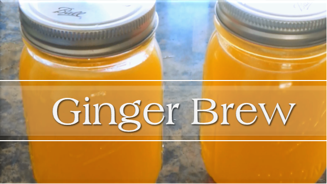How To Make A Ginger Bug | Ginger Brew