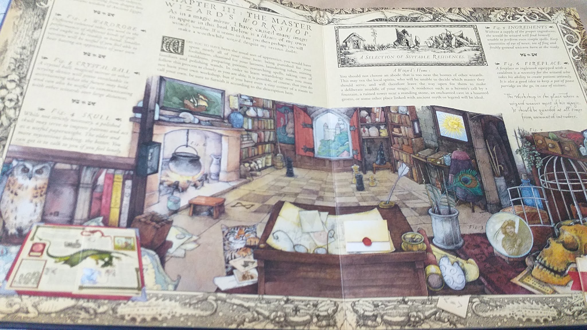 Kid Books Blog: 419.Wizardology