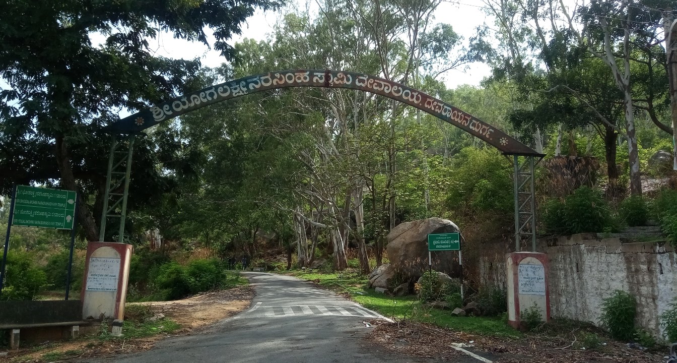 Drive + Trek - Devarayanadurga (DD hills)