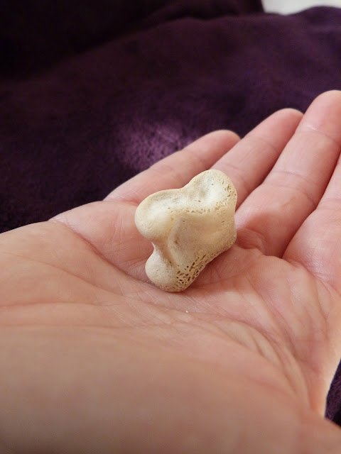 Manuel Cabello y Esperanza Izquierdo: "El blog de Ocurris". "Ubrique en ...