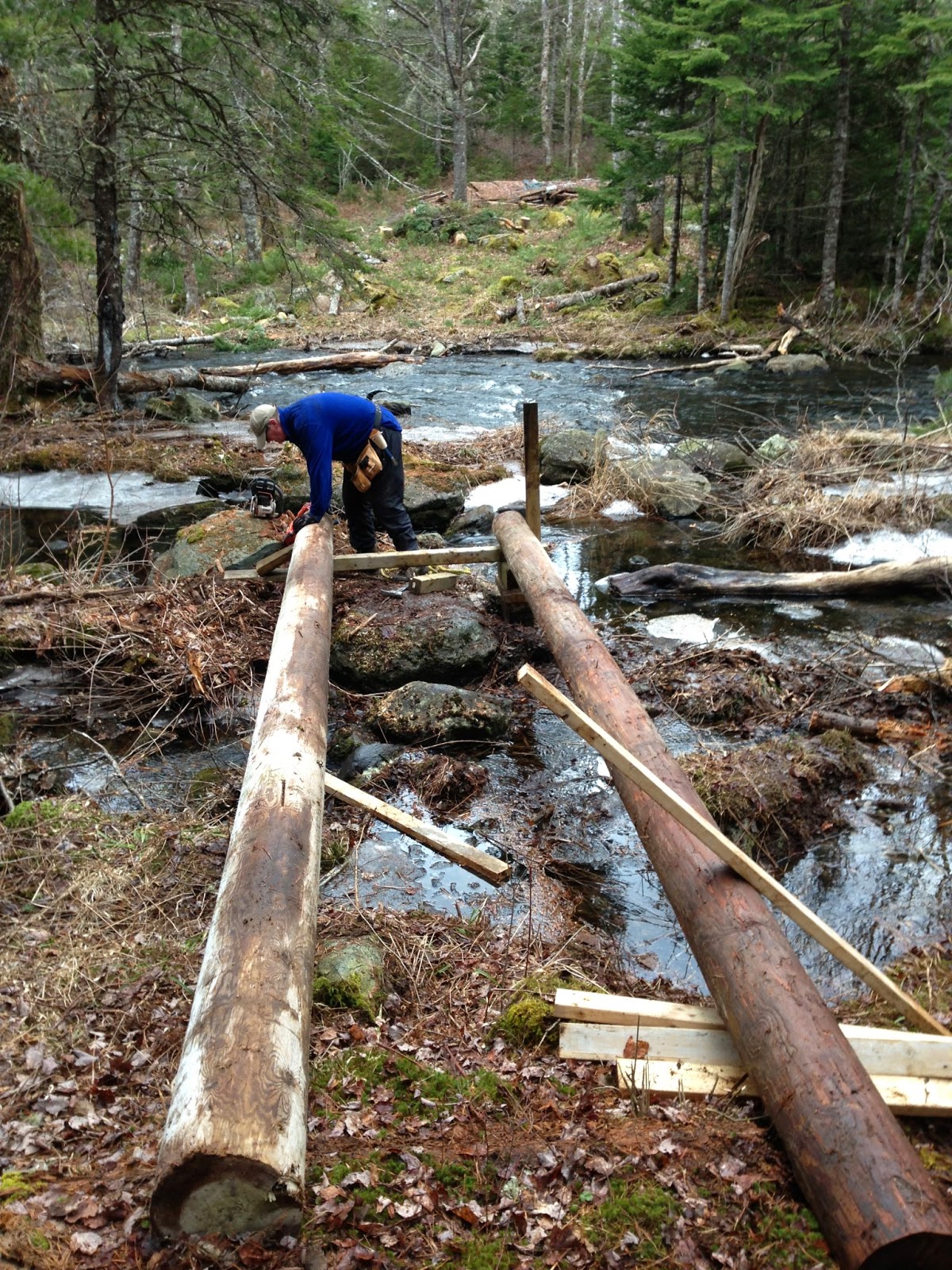 Telephone Pole Bridge