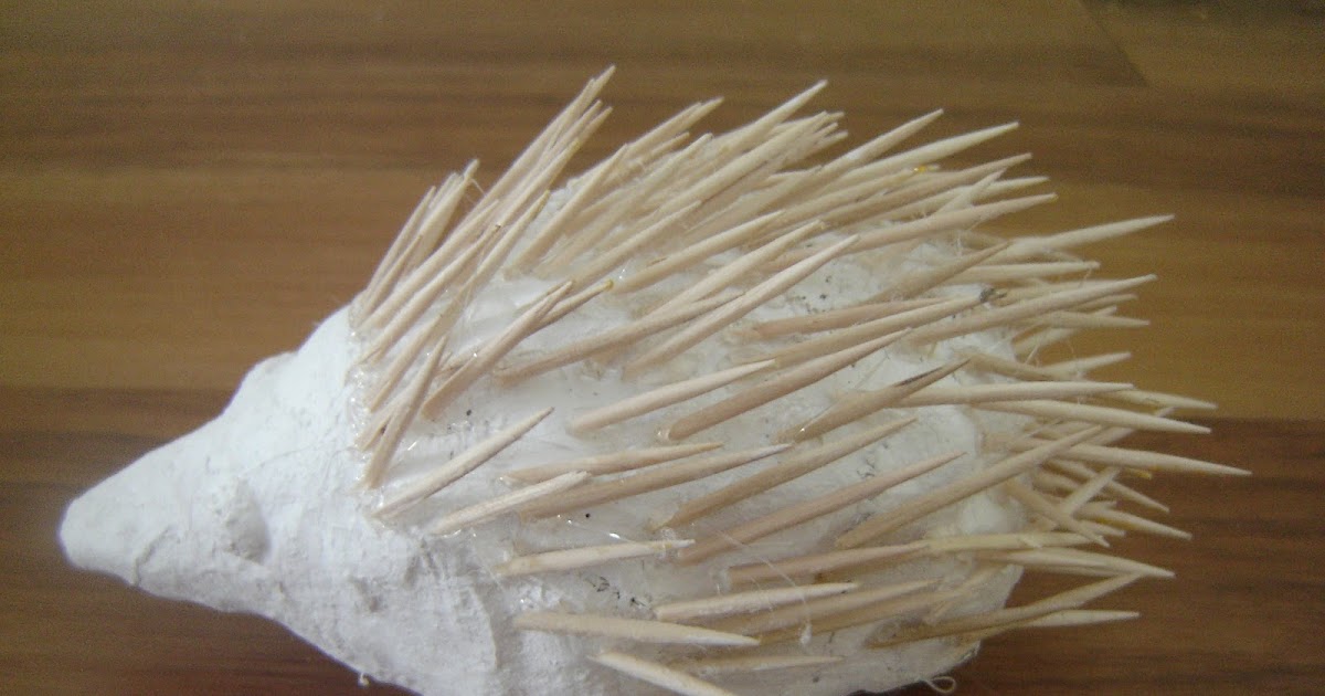 Model Making with Mod Roc