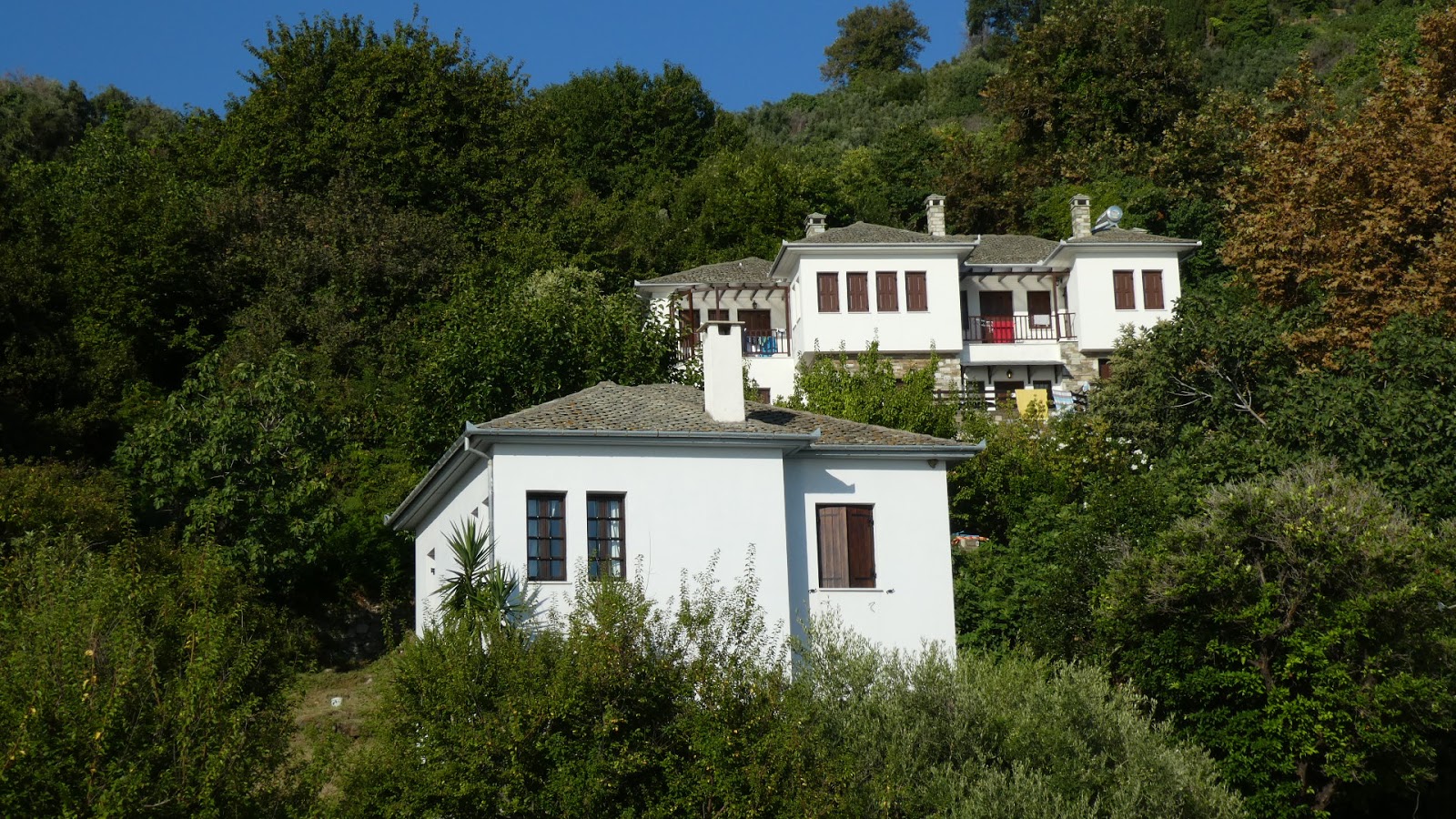 ΠΗΛΙΟ (ΖΑΓΟΡΑ - ΑΓΙΟΙ ΣΑΡΑΝΤΑ - ΠΟΥΡΙ - ΦΑΡΑΓΓΙ ΓΑΛΑΝΟΡΕΜΑ)