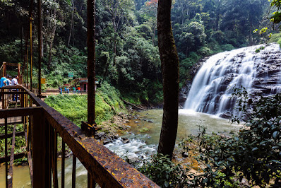 Abbey Falls Coorg (History, Location, Timing, Entry Fees, Images, Best ...