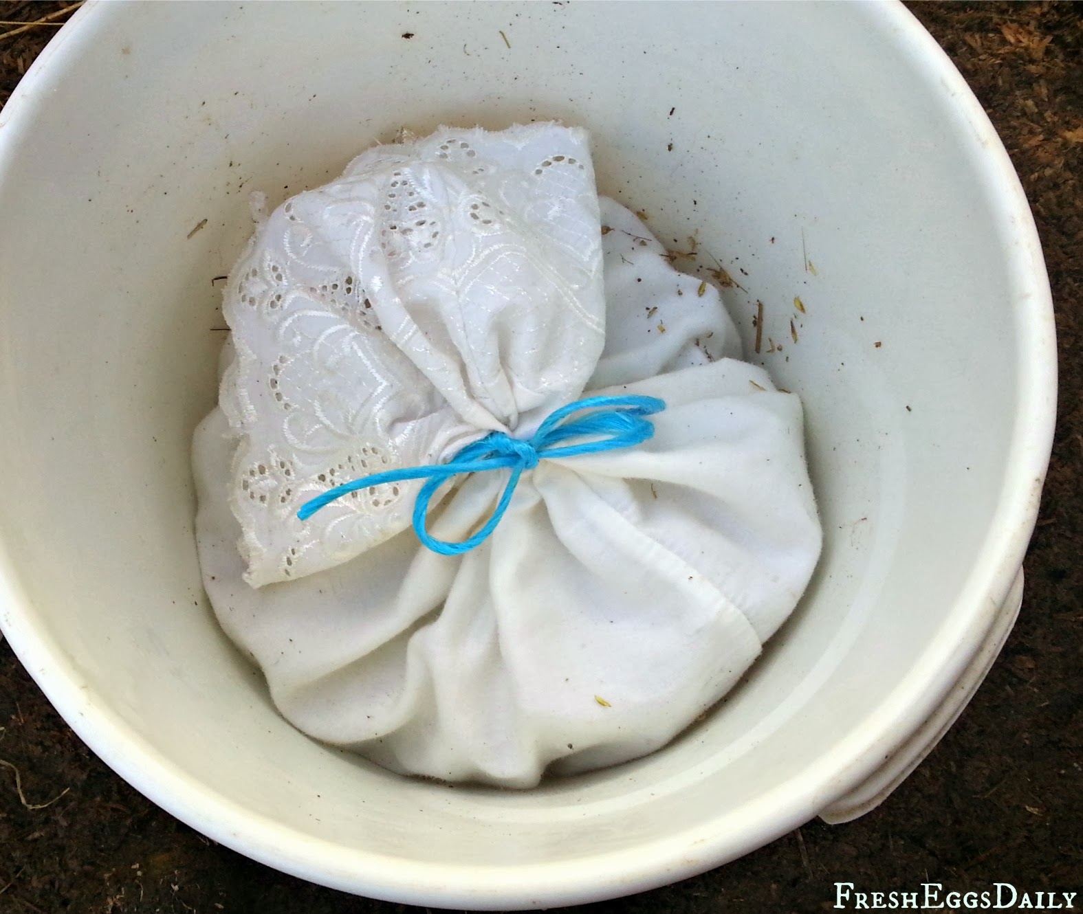 How To Brew Chicken Manure "Tea" for your Garden - Fresh Eggs Daily ...