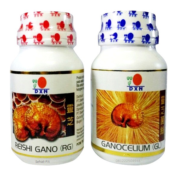Khasiat Reishi Gano (RG)-Ganocelium (GL)