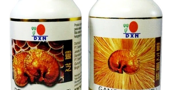 Khasiat Reishi Gano (RG)-Ganocelium (GL)