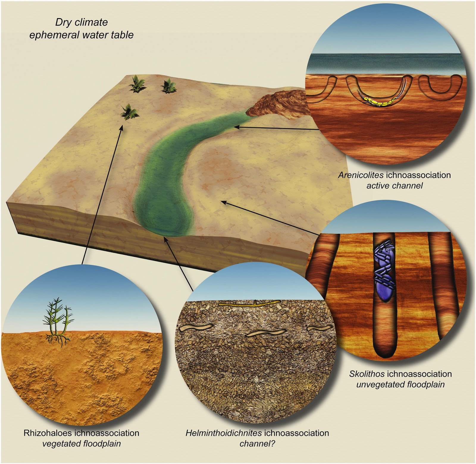 The Dragon's Tales: Crustaceans Just Before the Permian Extinction