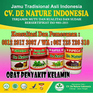 Obat Yang Tepat Untuk ISk (Infeksi Saluran Kemih) Di Apotik Kimia Farma