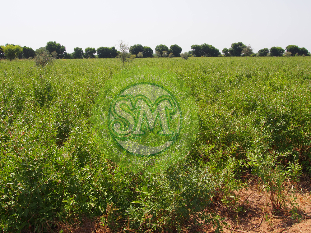 S. M. Heena Industries