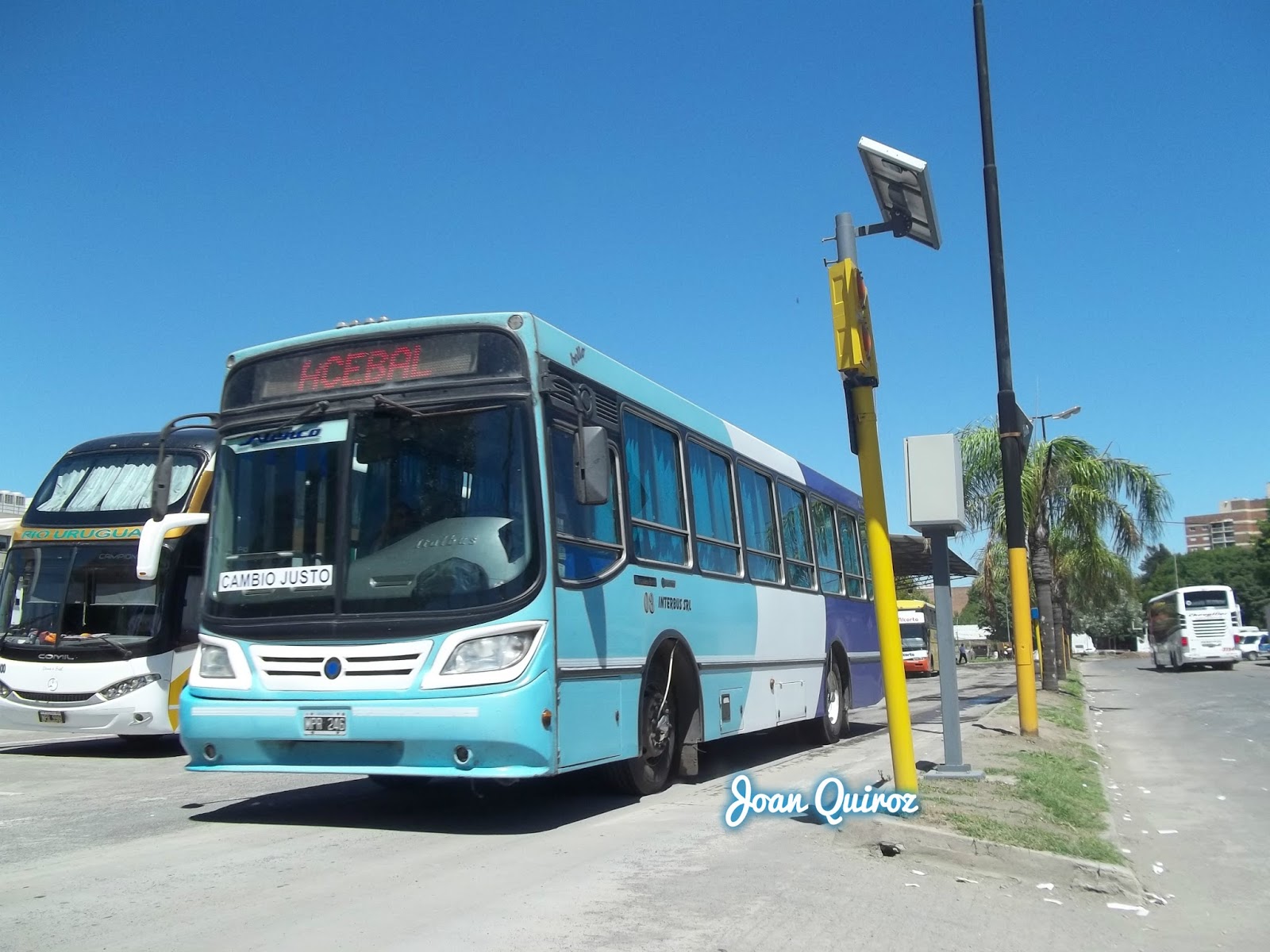All Buses: Interbus srl - Italbus Bello