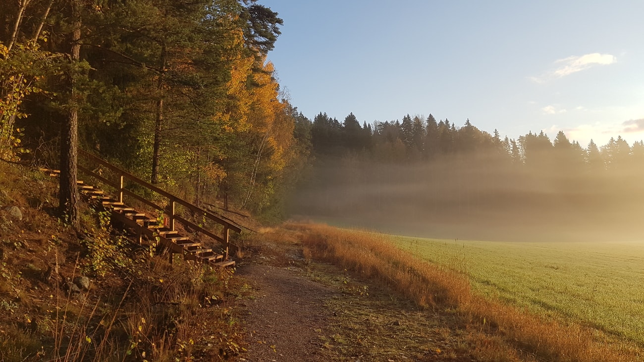 Risslan metsäpolku Raaseporissa
