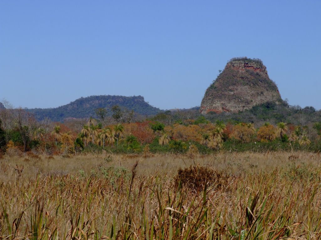 carmen e loris: Parco Nazionale Cerro Cora’ e Cerro Akua - PARAGUAY