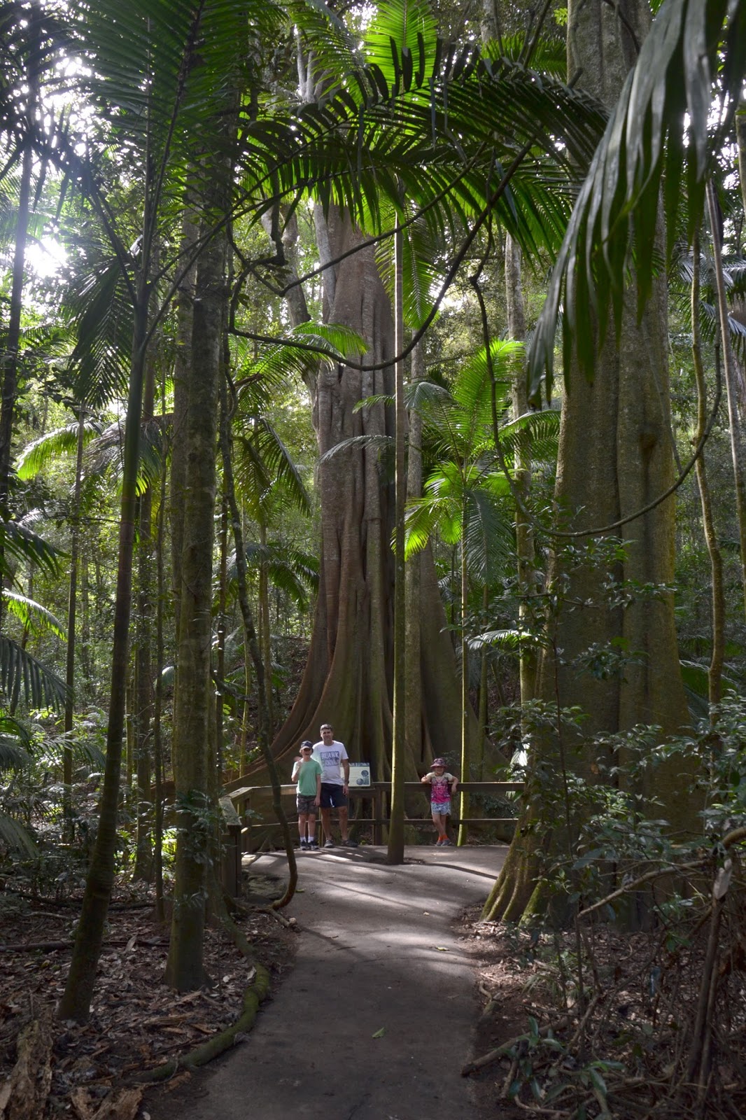 Life & Times: Walking at Kenilworth - Fig Tree Walk