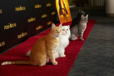 Catsparella: Antonio Banderas Hosts First Ever All Cat Movie Premiere ...
